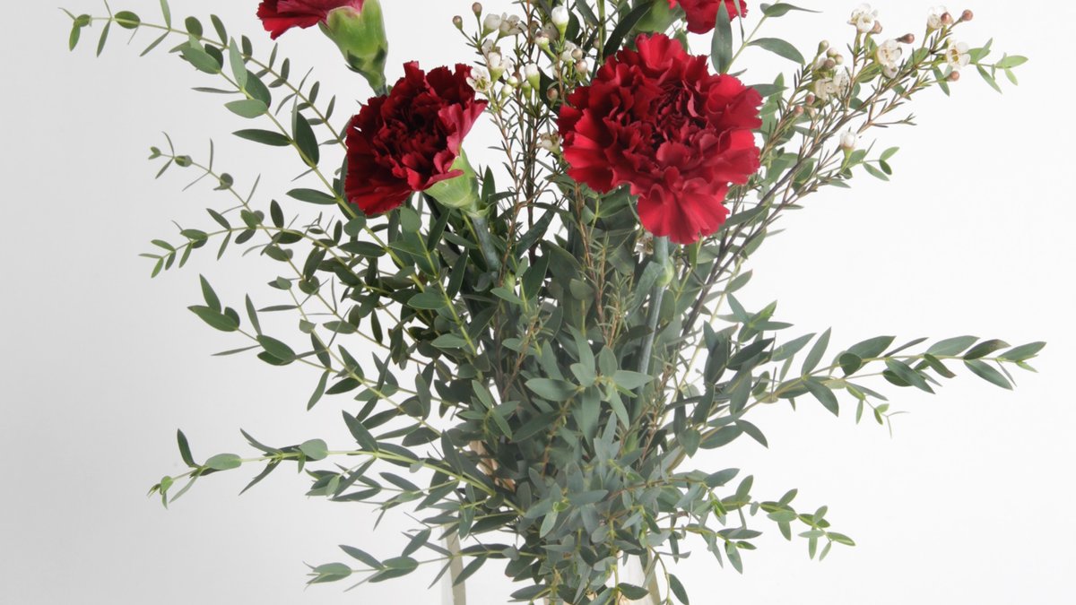 Jouluinen neilikkakimppu – FLÖR Kukka ja Puutarha Mylly – Wolt